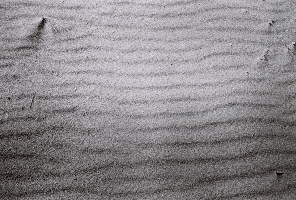 Winter 2017 – Inscape