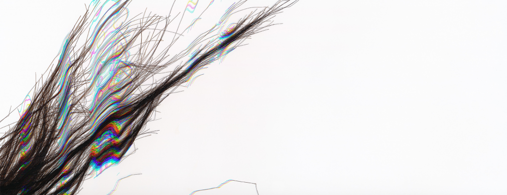 Fall 2017 – Inscape