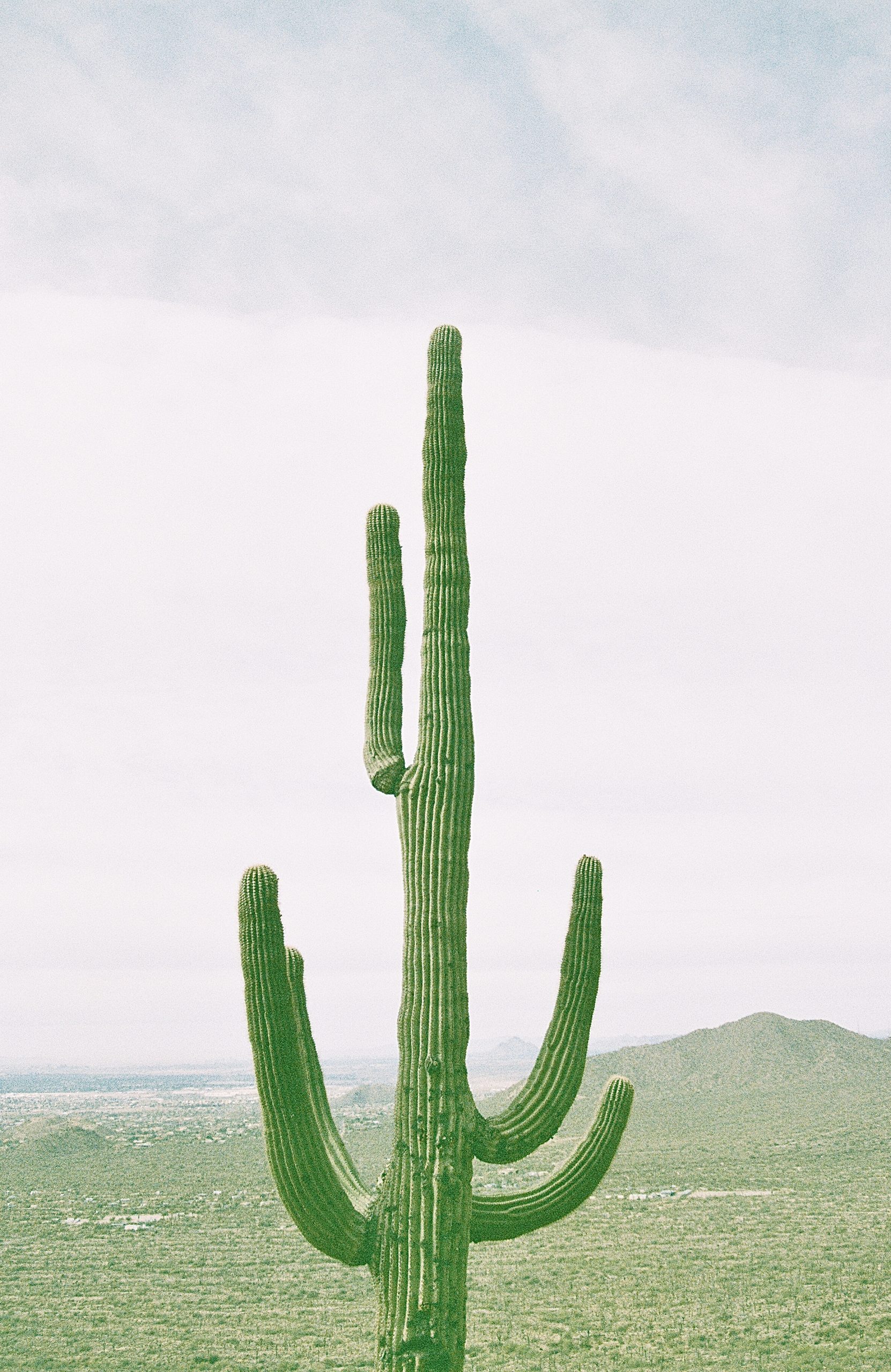 Last Column of a Collapsed Temple – Inscape